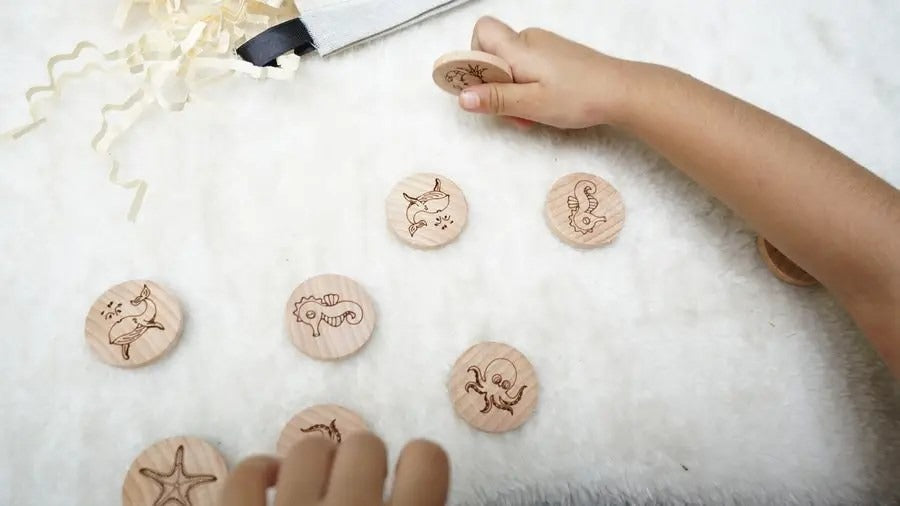 Creative & Fun with Wooden Educational Toys | Memory Game Toys – MoonToys