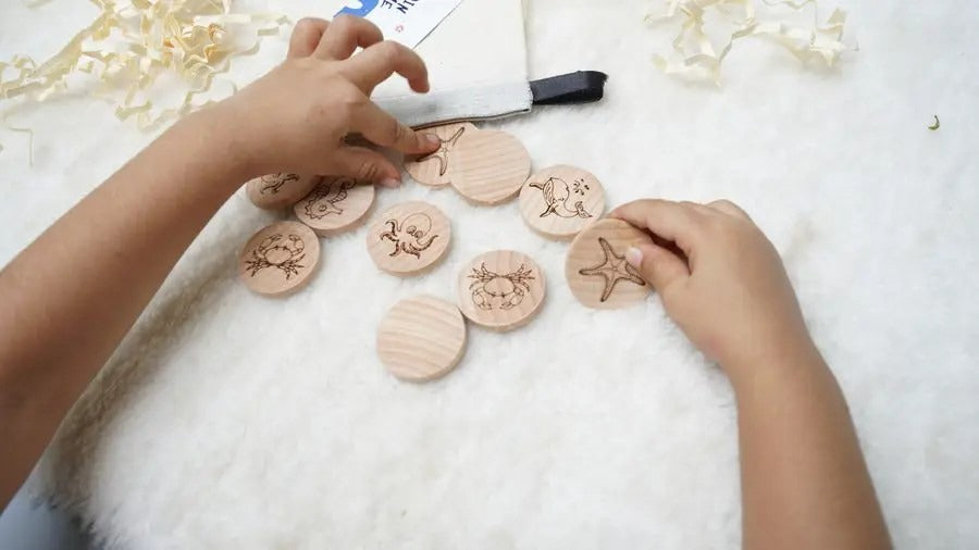 Creative & Fun with Wooden Educational Toys | Memory Game Toys – MoonToys